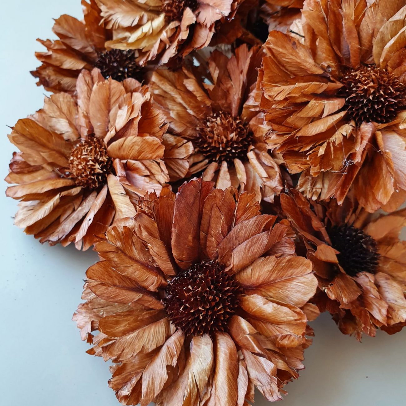 HANDMADE FLOWER - DRIED BOTANICAL AND DRIED FLOWER FOR DECORATION