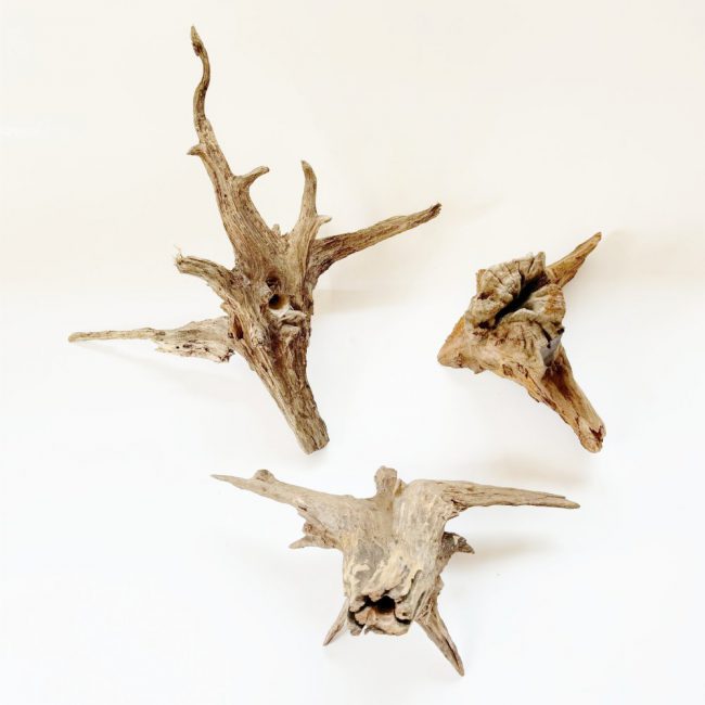 NATURAL DRIFTWOOD - DRIED BOTANICAL AND DRIED FLOWER FOR DECORATION