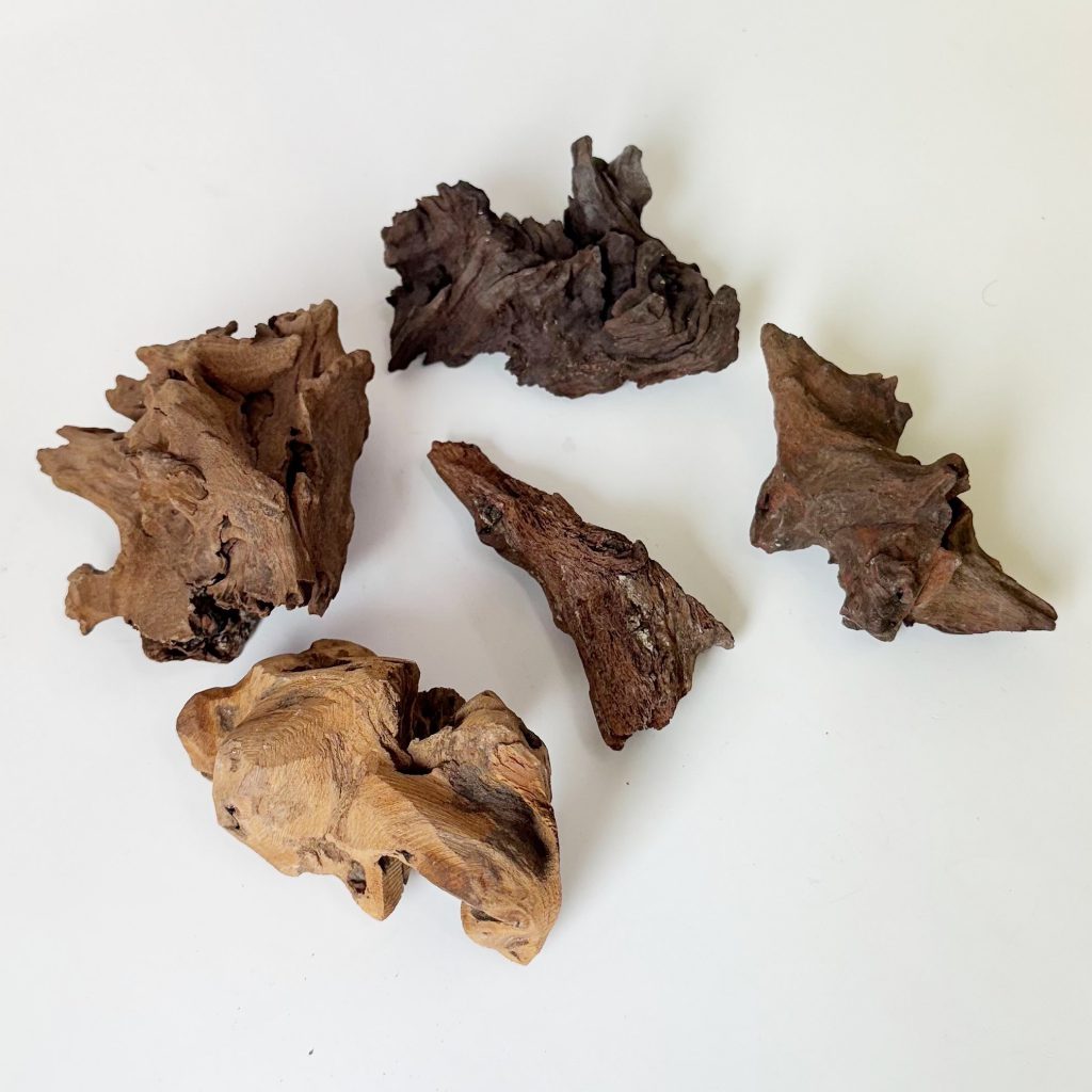 WOOD AND DRIFTWOOD Archives - DRIED BOTANICAL AND DRIED FLOWER FOR ...