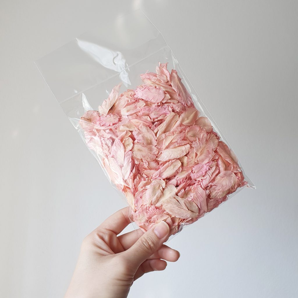 TULIP FEATHER - DRIED BOTANICAL AND DRIED FLOWER FOR DECORATION
