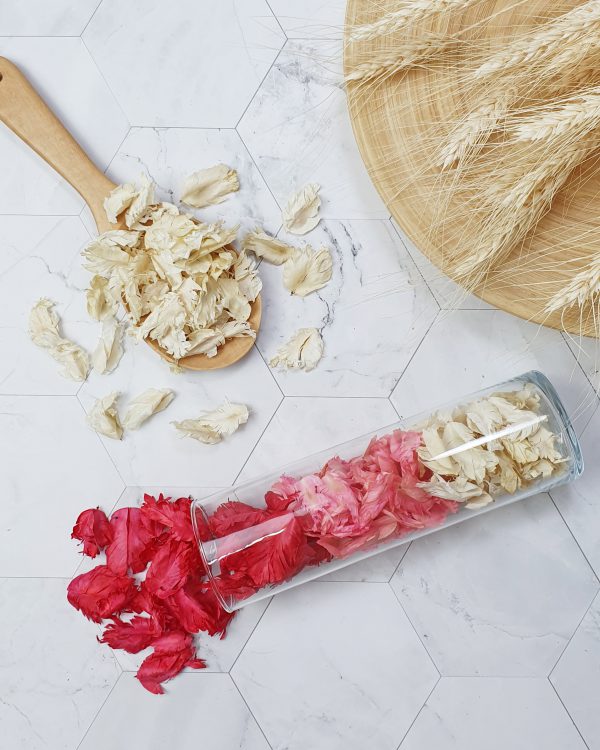 TULIP FEATHER - DRIED BOTANICAL AND DRIED FLOWER FOR DECORATION