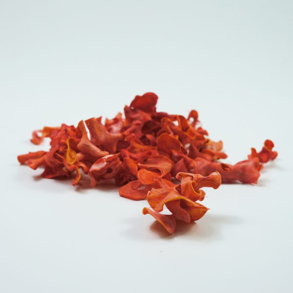 CURLY POD - DRIED BOTANICAL AND DRIED FLOWER FOR DECORATION