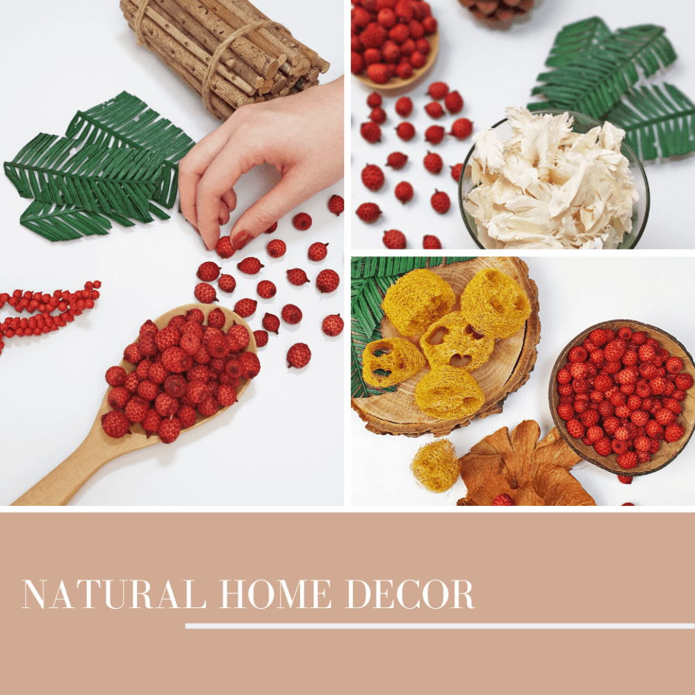 Our Story - DRIED BOTANICAL AND DRIED FLOWER FOR DECORATION
